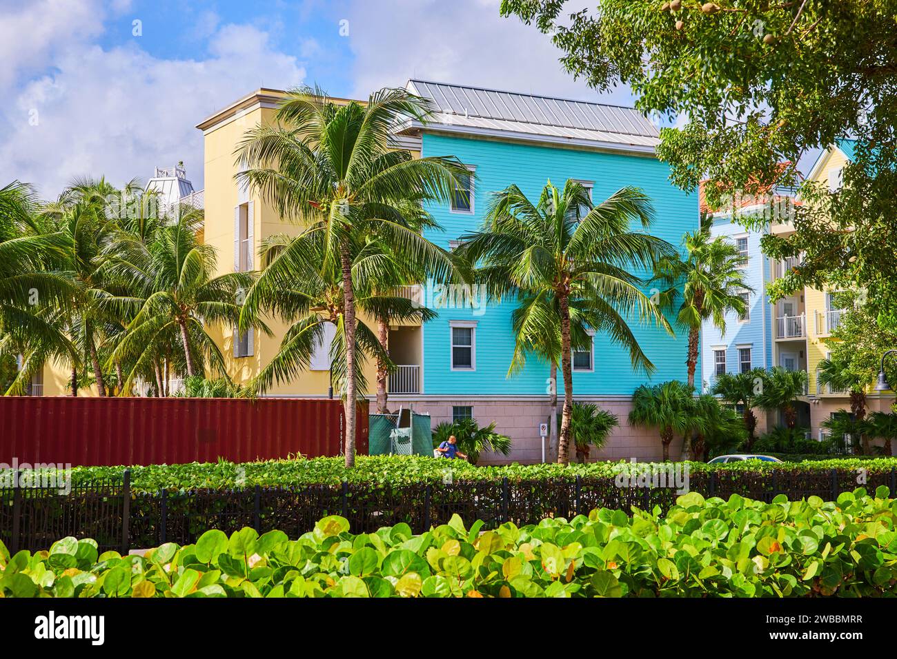 Tropical Urban Escape with Colorful Buildings and Palm Trees, Nassau ...