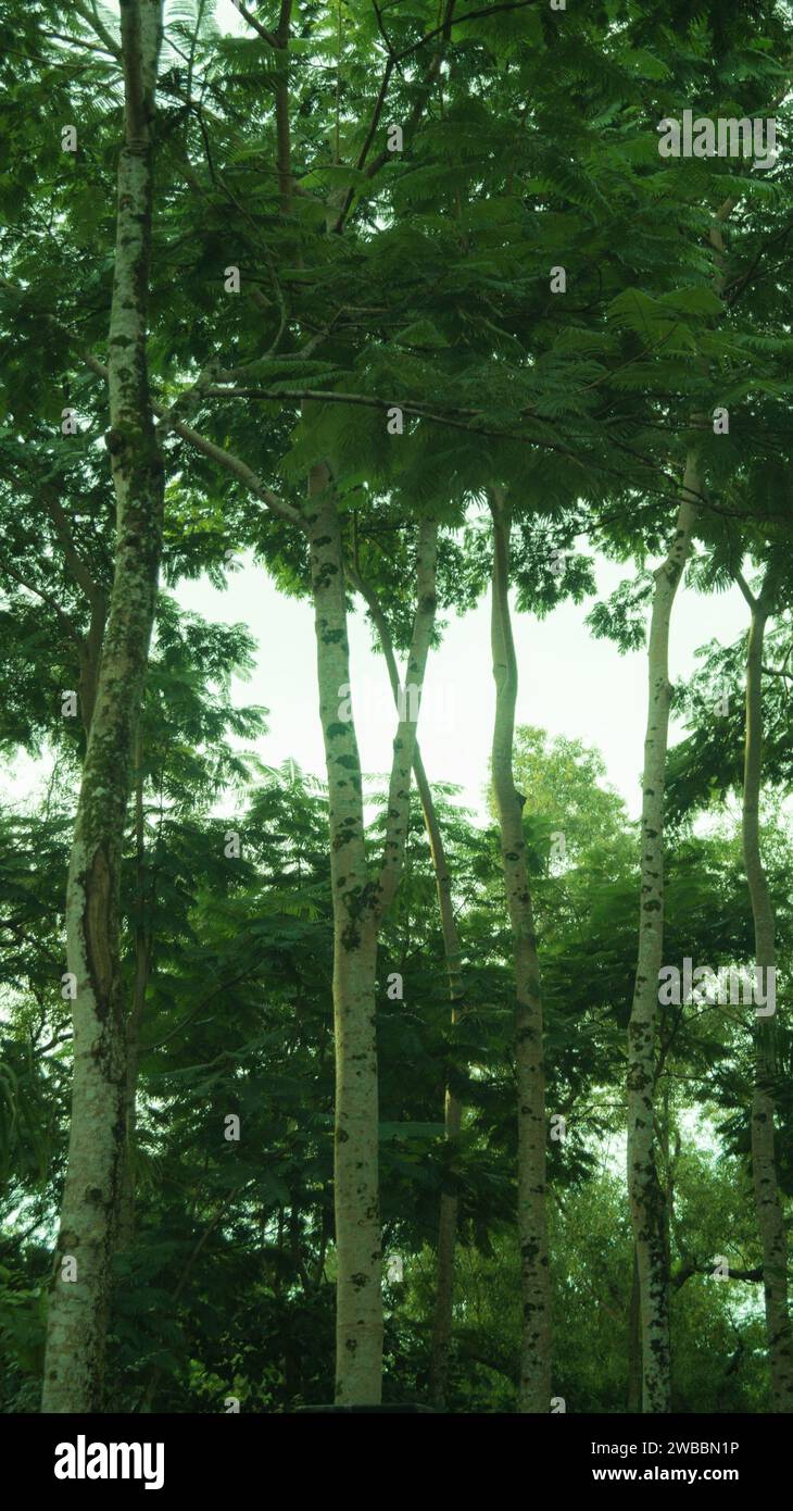 Quezon city philippines hi-res stock photography and images - Alamy