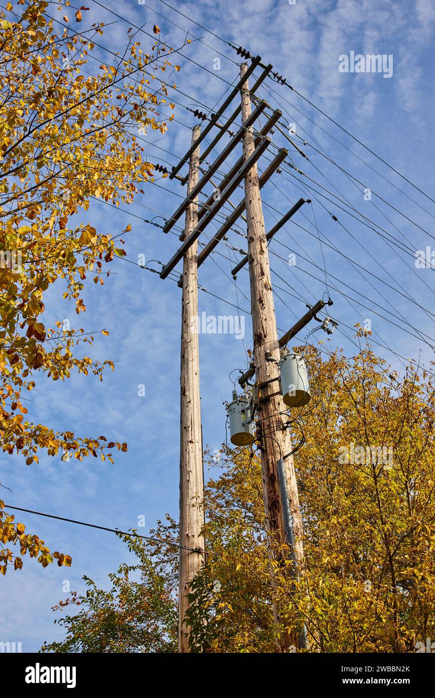 Autumnal Utility Poles with Transformers and Blue Sky Stock Photo - Alamy