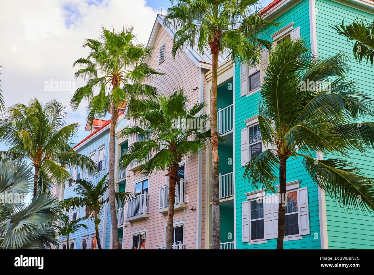 Tropical Urban Charm: Colorful Buildings and Palm Trees in Nassau Stock ...
