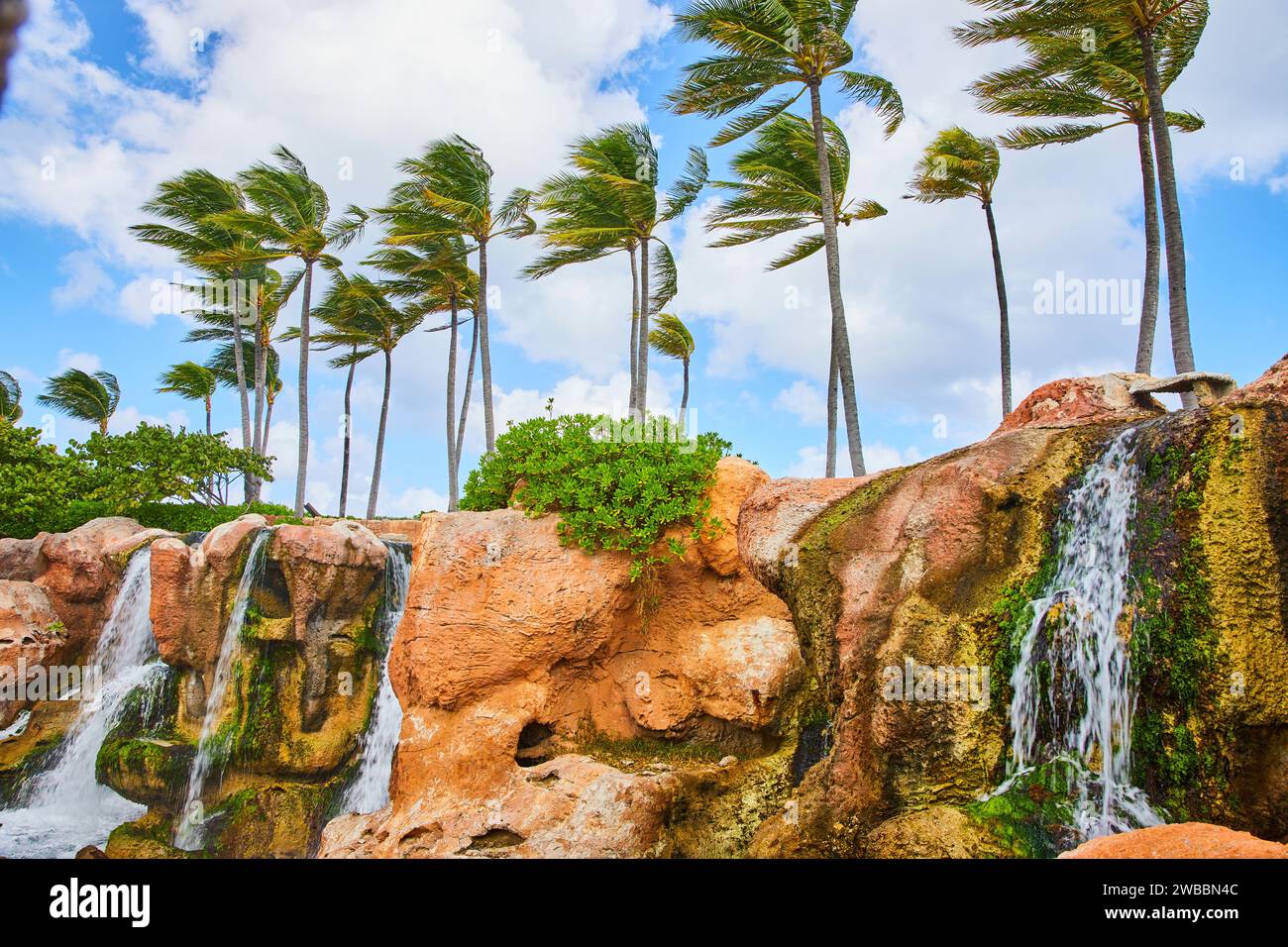 Tropical Palm Trees and Waterfall in Paradise Island Resort Stock Photo ...