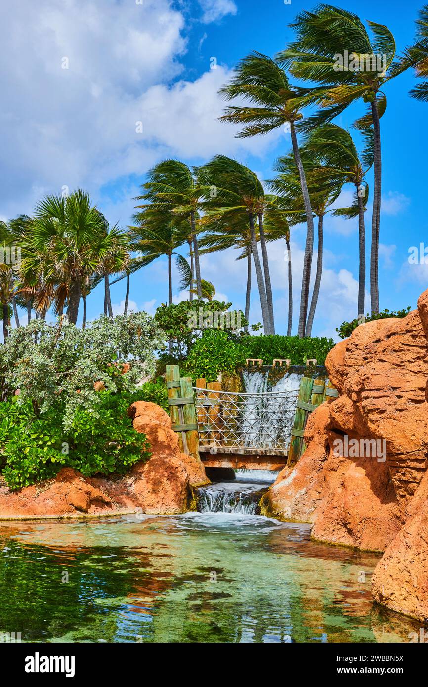 Tropical Palm Trees and Waterfall Oasis in Nassau Stock Photo - Alamy