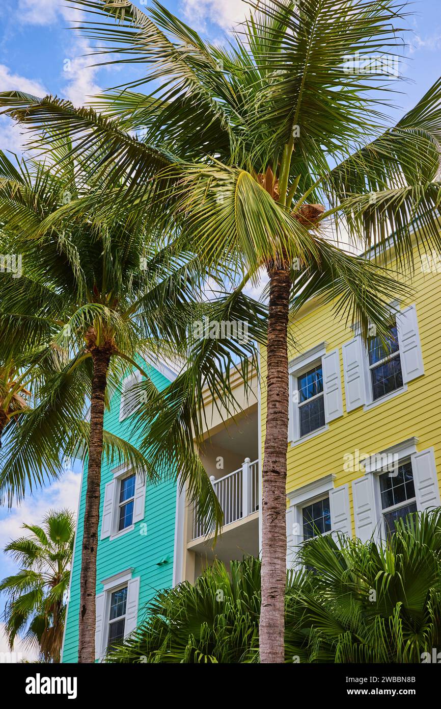 Tropical Resort Vibe with Colorful Building and Palm Trees Stock Photo ...