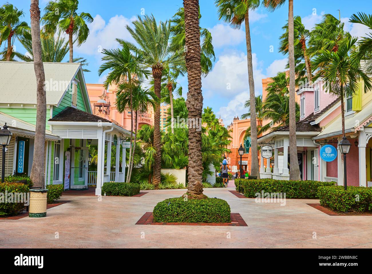 Street level palm trees hi-res stock photography and images - Alamy