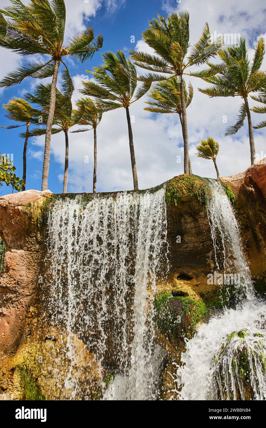 Tropical Waterfall Oasis with Palm Trees in Nassau Stock Photo - Alamy