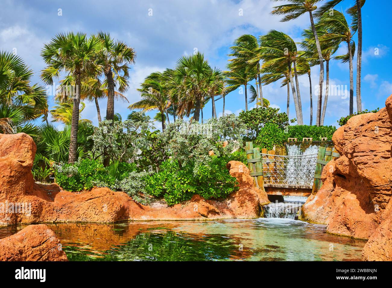 Tropical Palm Trees by Serene Waterfall in Paradise Island Stock Photo ...