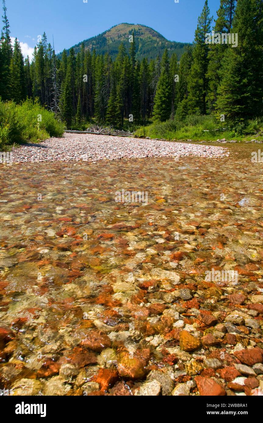 Dolly Varden Creek, Great Bear Wilderness, Flathead National Forest ...