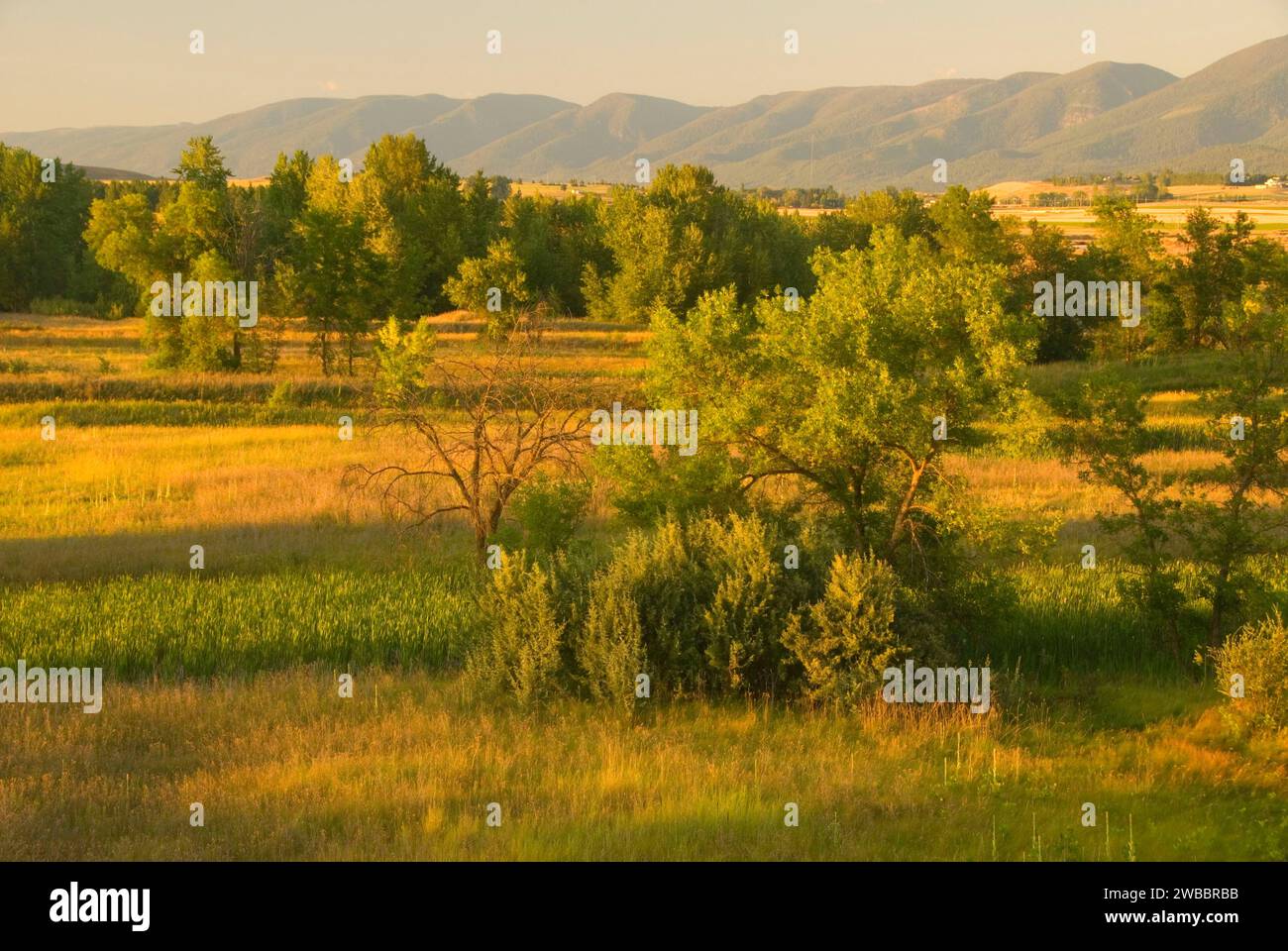 Grassland view, Pablo National Wildlife Refuge, Montana Stock Photo - Alamy