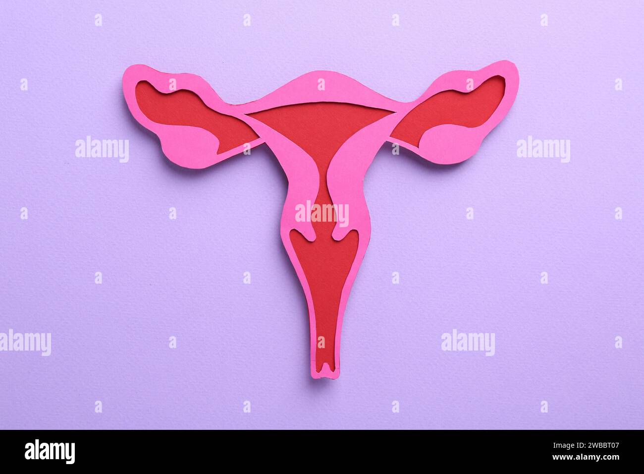 Female reproductive hormones hi-res stock photography and images - Alamy