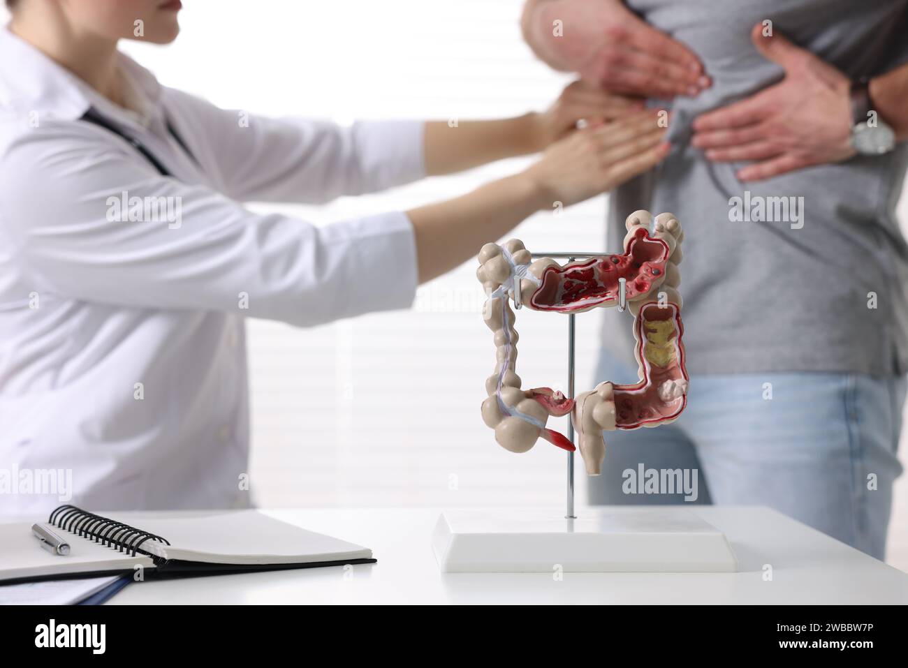 Gastroenterologist examining patient with stomach pain indoors, focus ...