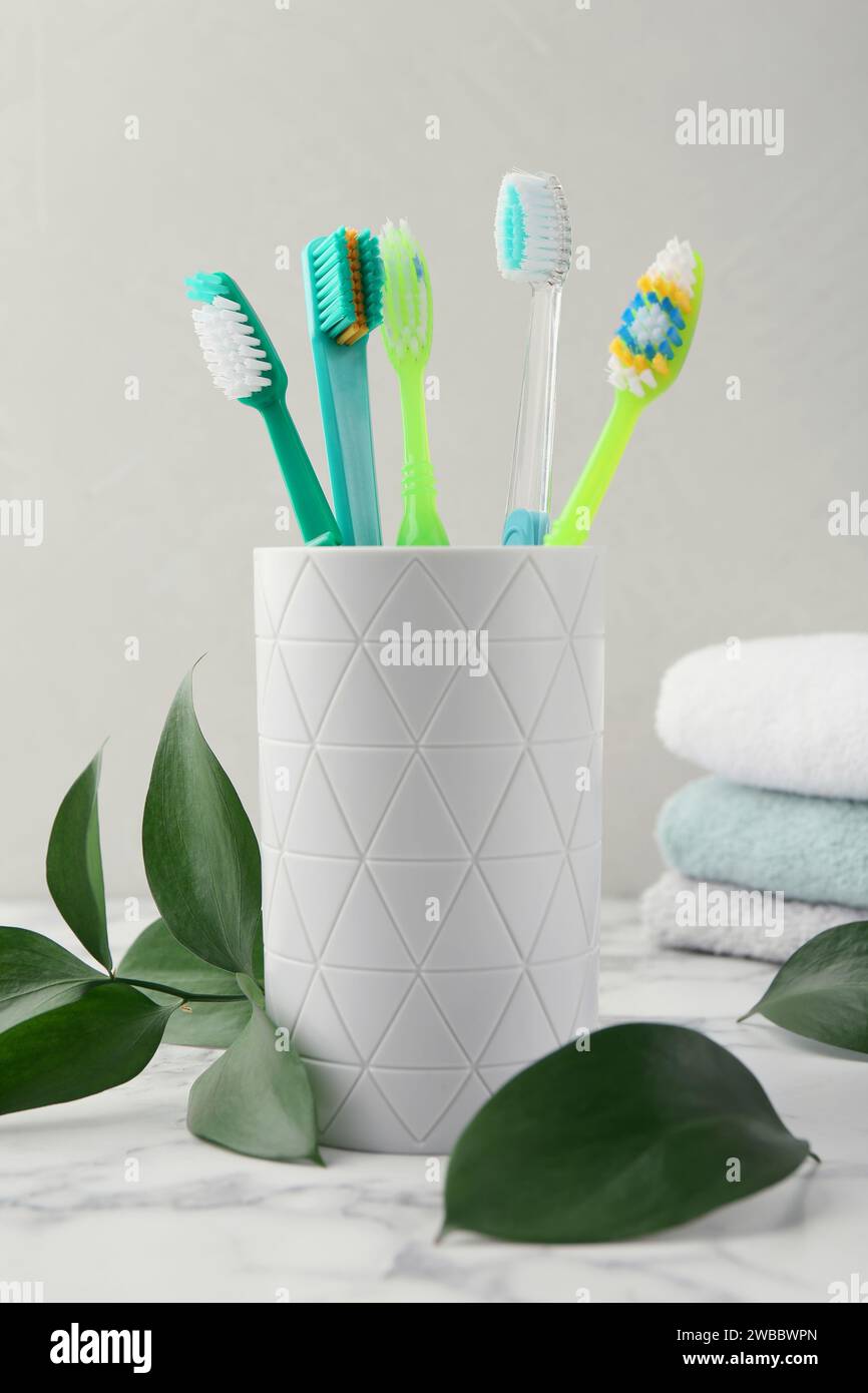 Colorful plastic toothbrushes in container and green leaves on white ...