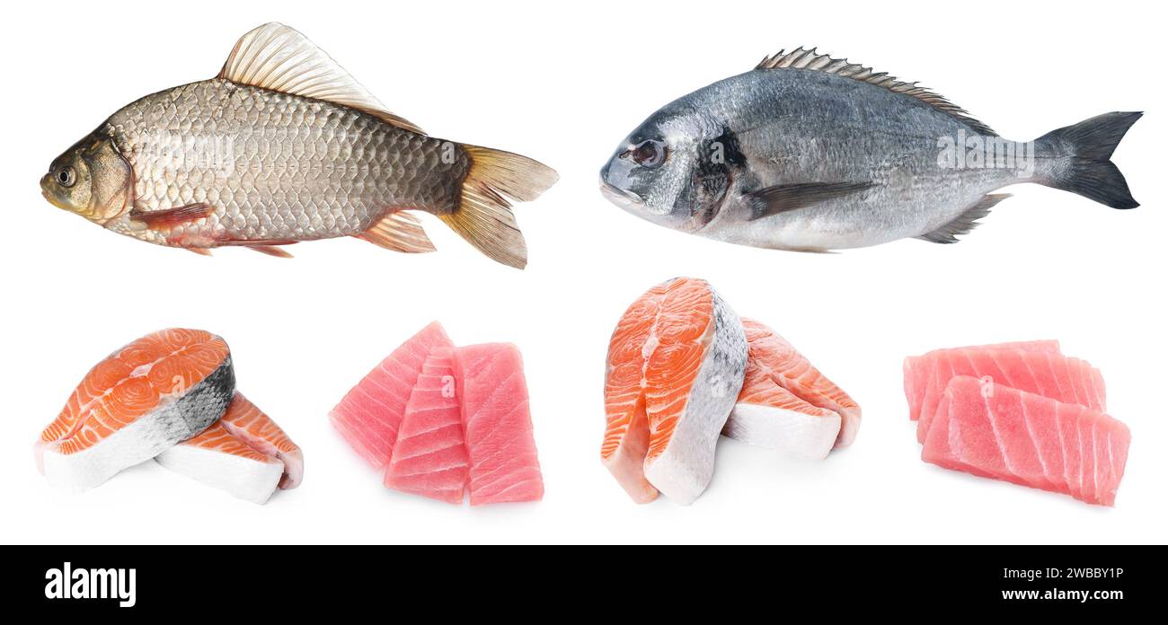 Different types of raw fish isolated on white, set Stock Photo - Alamy