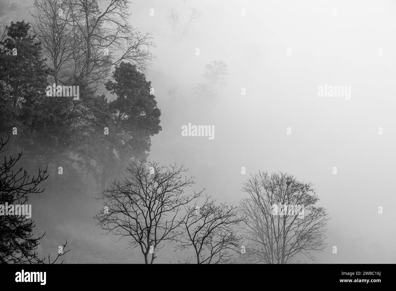 Picturesque snowy nature Black and White Stock Photos & Images - Alamy
