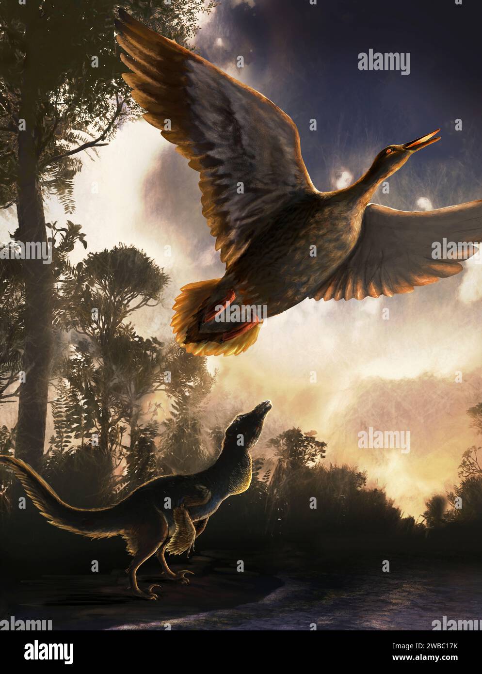 Prehistoric bird Vegavis iaai, illustration Stock Photo - Alamy