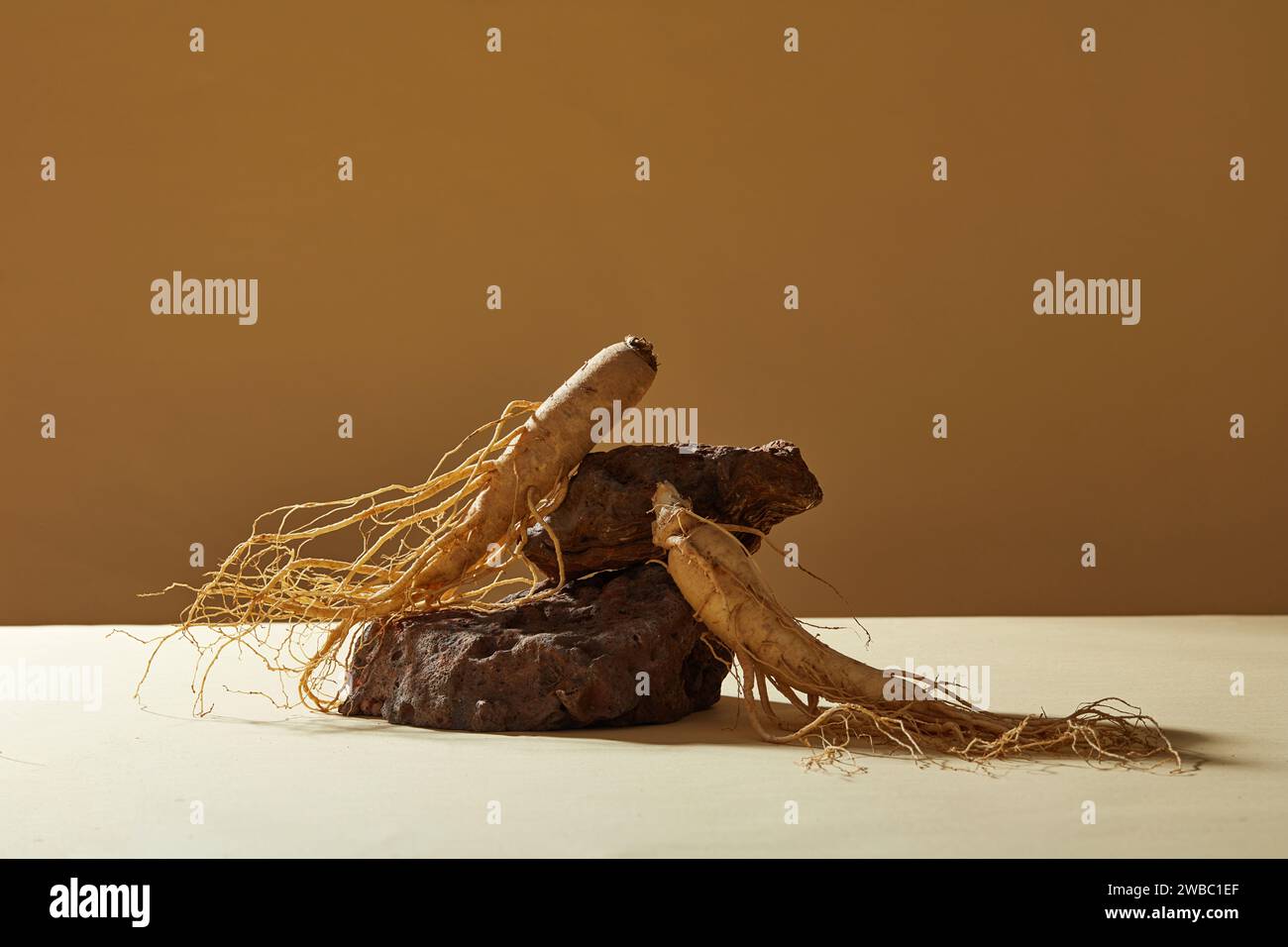 Wild Ginseng has been used in best traditional medicine. Fresh ginseng ...