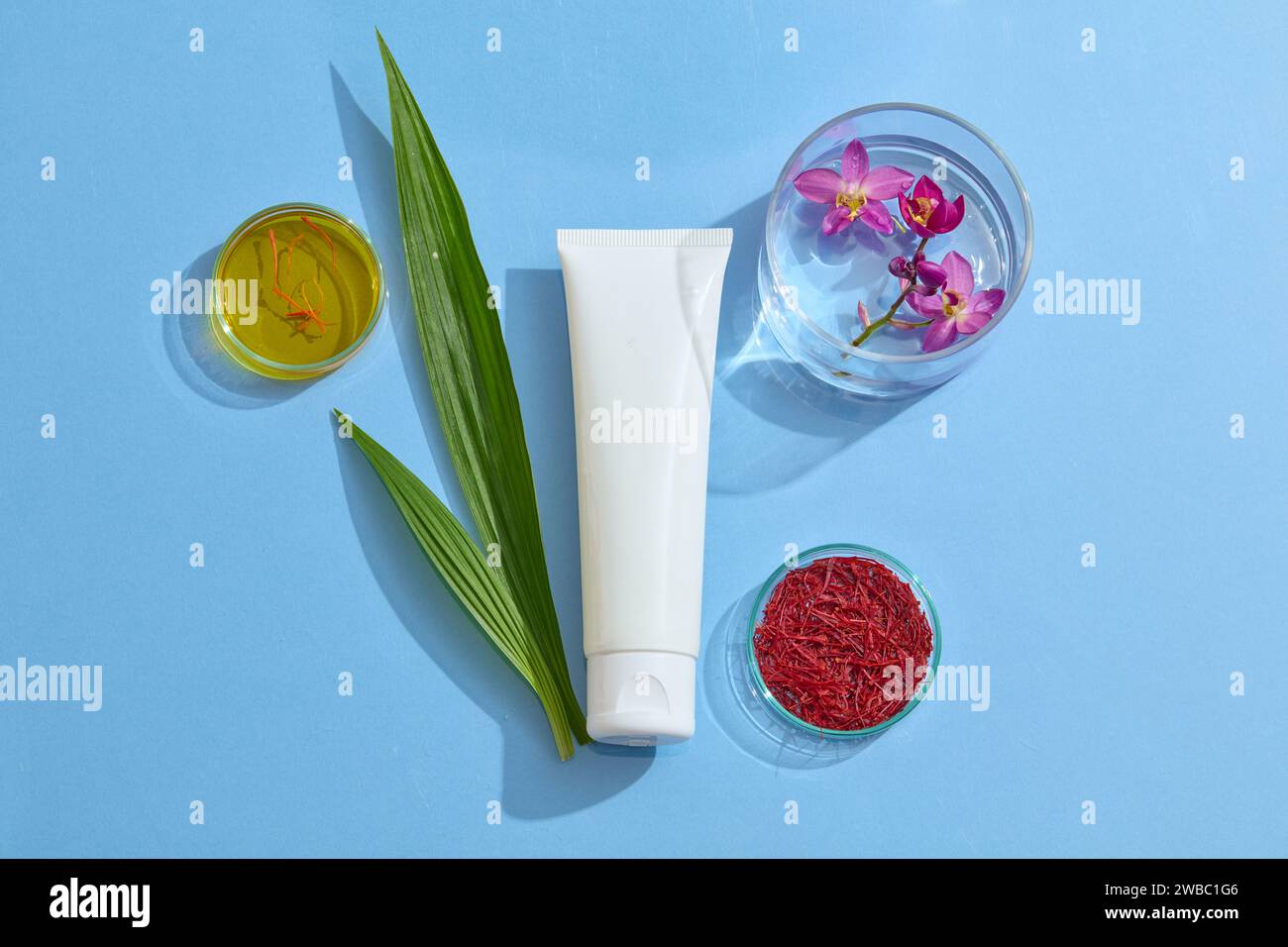 Crocus sativus container hi-res stock photography and images - Alamy