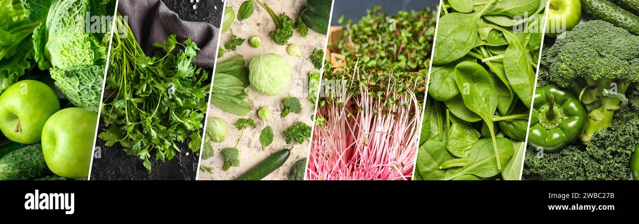 Assortment fresh organic microgreens hi-res stock photography and ...