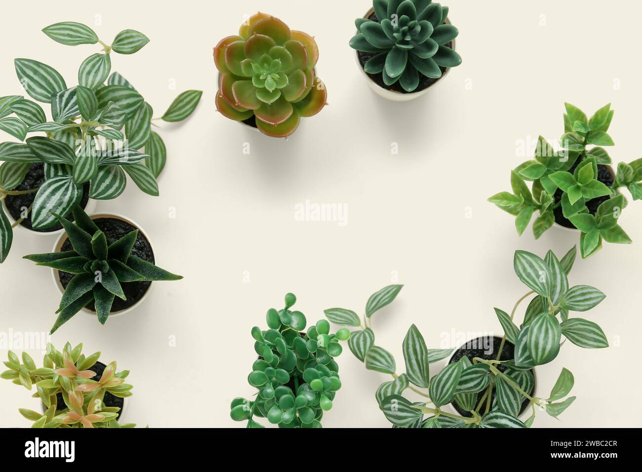 Beautiful artificial house made hi-res stock photography and images - Alamy