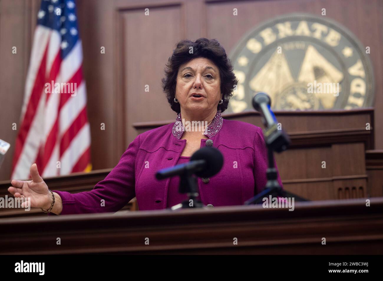 Florida Senate President Kathleen Passidomo speaks with reporters in ...