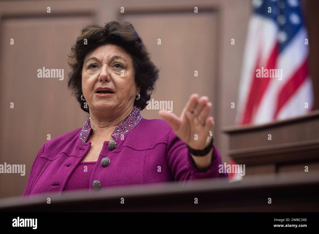 Florida Senate President Kathleen Passidomo speaks with reporters in ...