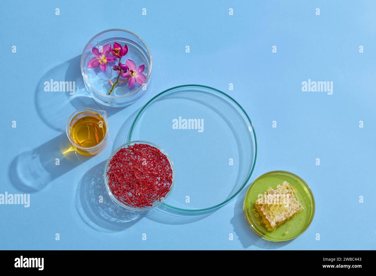 Blue background for advertising and branding cosmetic product with ...