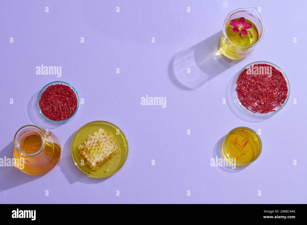 On a purple background, petri dish, beaker and flasks containing ...