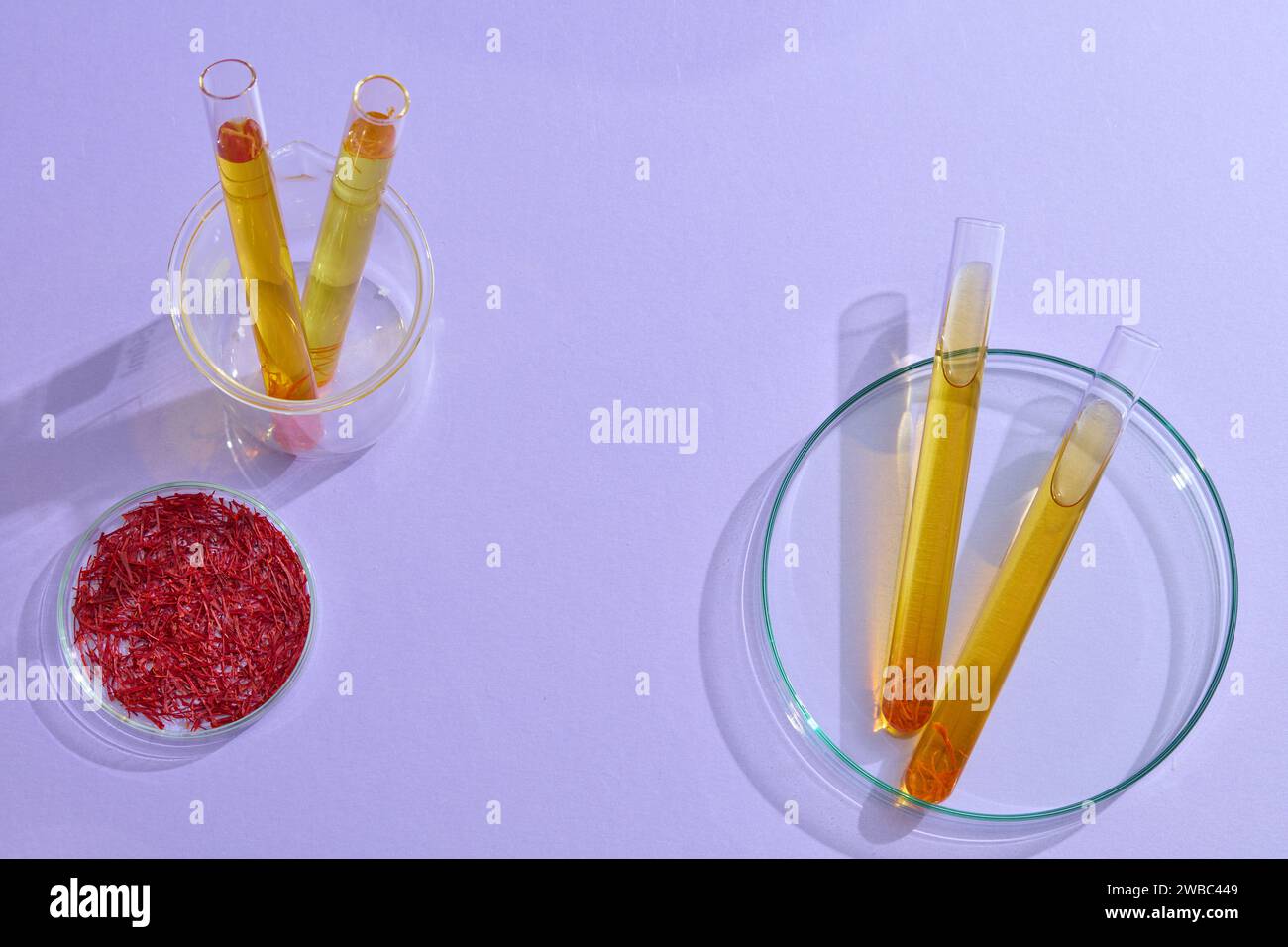 Advertising photo for cosmetic from saffron extract with stigmas ...