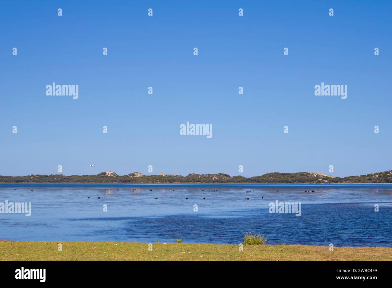 A tranquil scenic view of the landscape at the shallow end of the ...