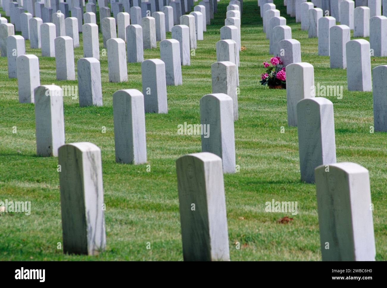 Grave rows, Springfield National Cemetery, Springfield, Missouri Stock ...