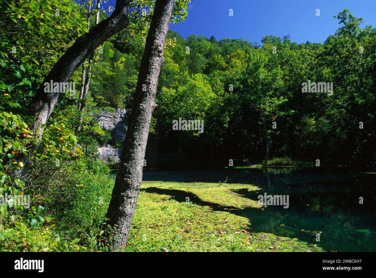 Alley Spring, Ozark National Scenic Riverways, Missouri Stock Photo - Alamy