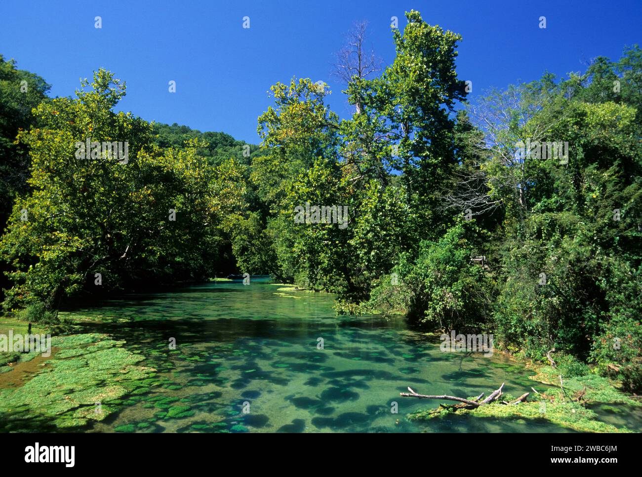 Ozark national scenic riverways hi-res stock photography and images - Alamy