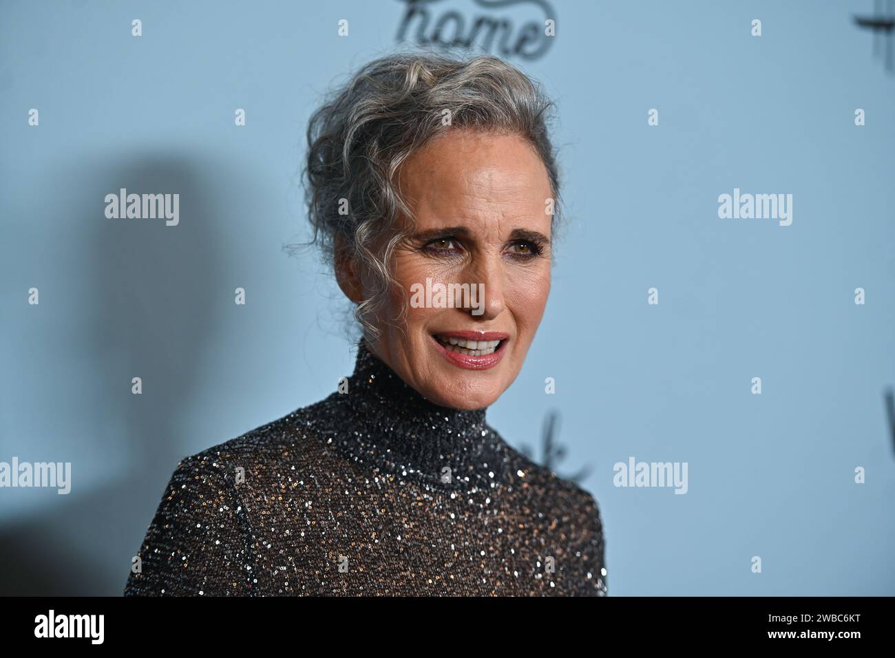 Andie macdowell 2024 hi-res stock photography and images - Alamy