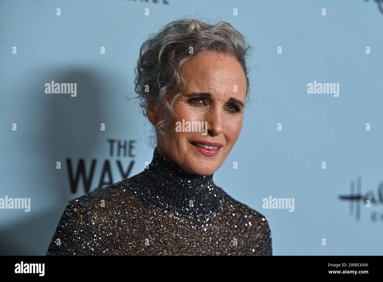 Andie macdowell 2024 hi-res stock photography and images - Alamy