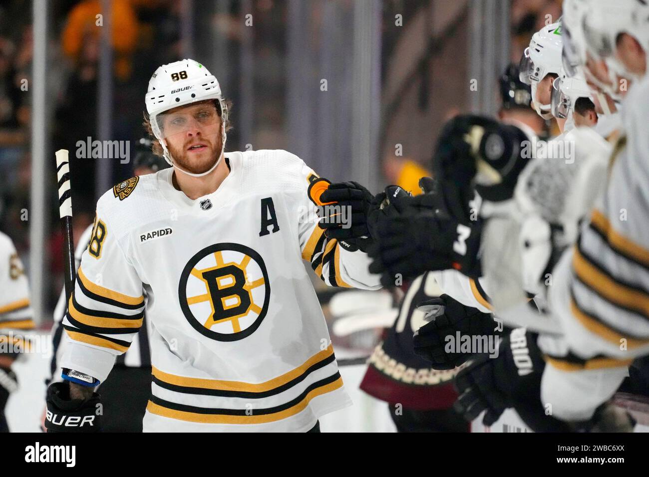 Boston Bruins right wing David Pastrnak (88) celebrates his goal ...