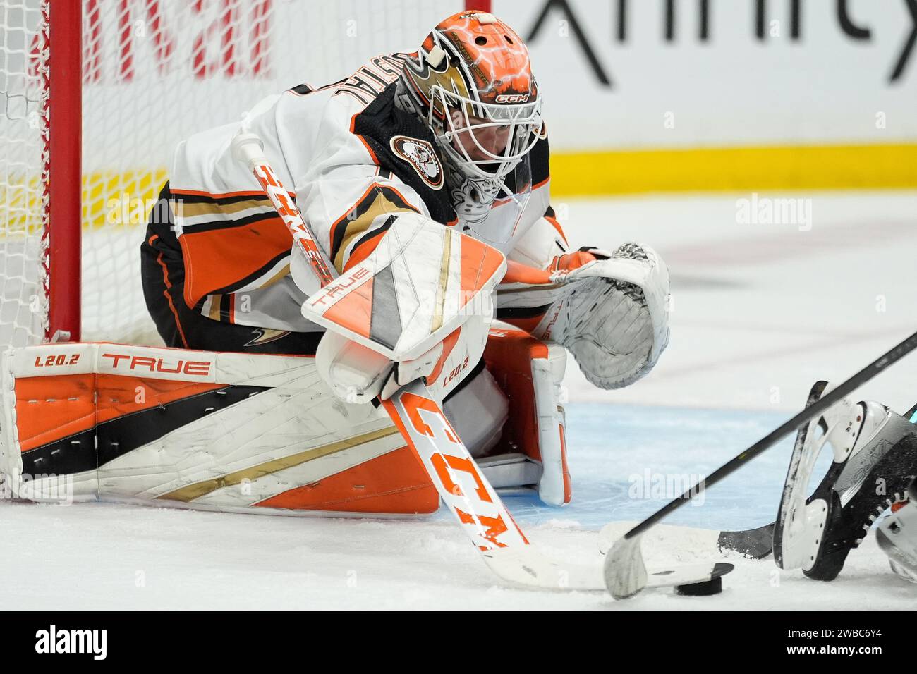 Anaheim Ducks goaltender Lukas Dostal (1) defends the goal during the ...