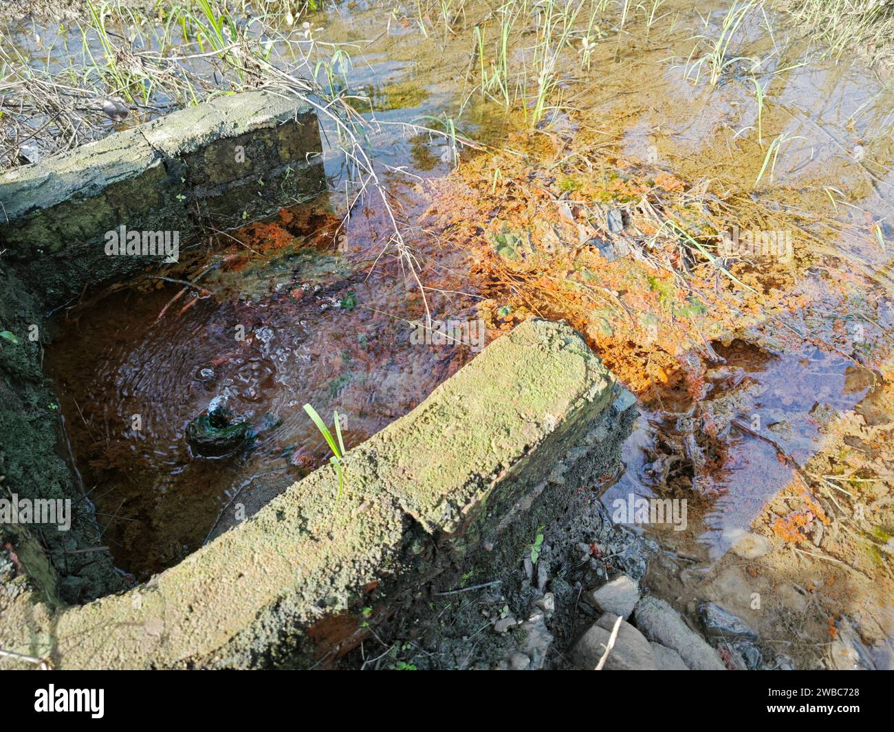 leakage water from the ground turned murky when mixed with the drainage ...