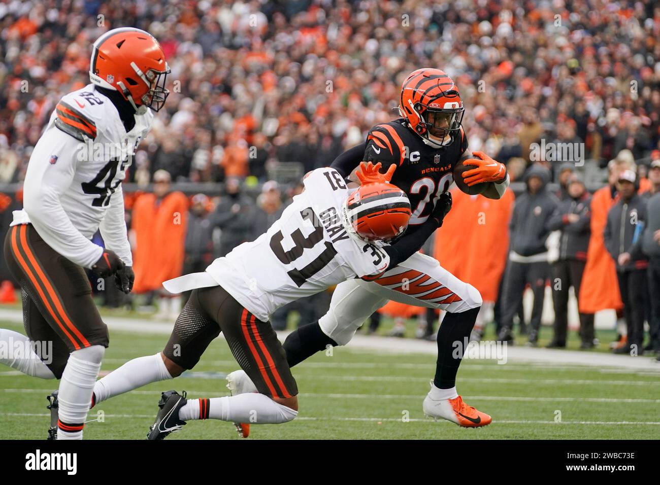 Cleveland Browns cornerback Vincent Gray (31) pursues Cincinnati ...