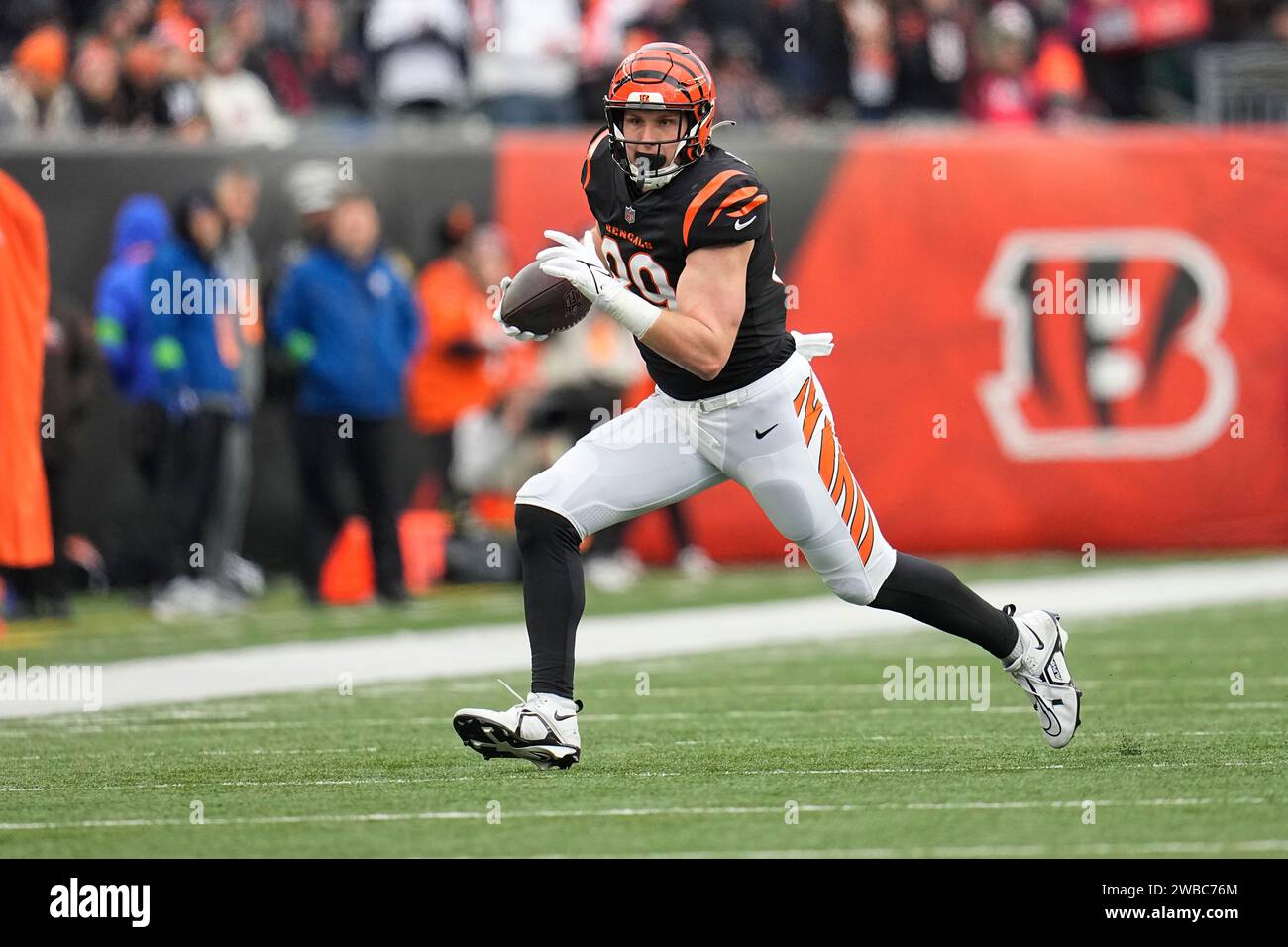 Cincinnati Bengals tight end Drew Sample carries in the first half of ...