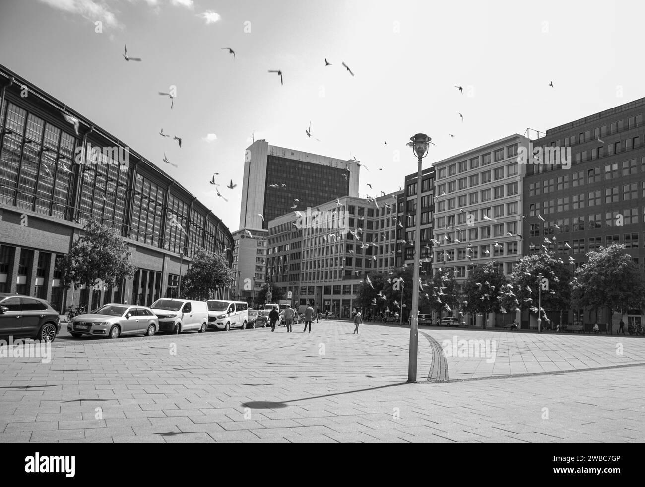 flight of birds in a square Stock Photo - Alamy