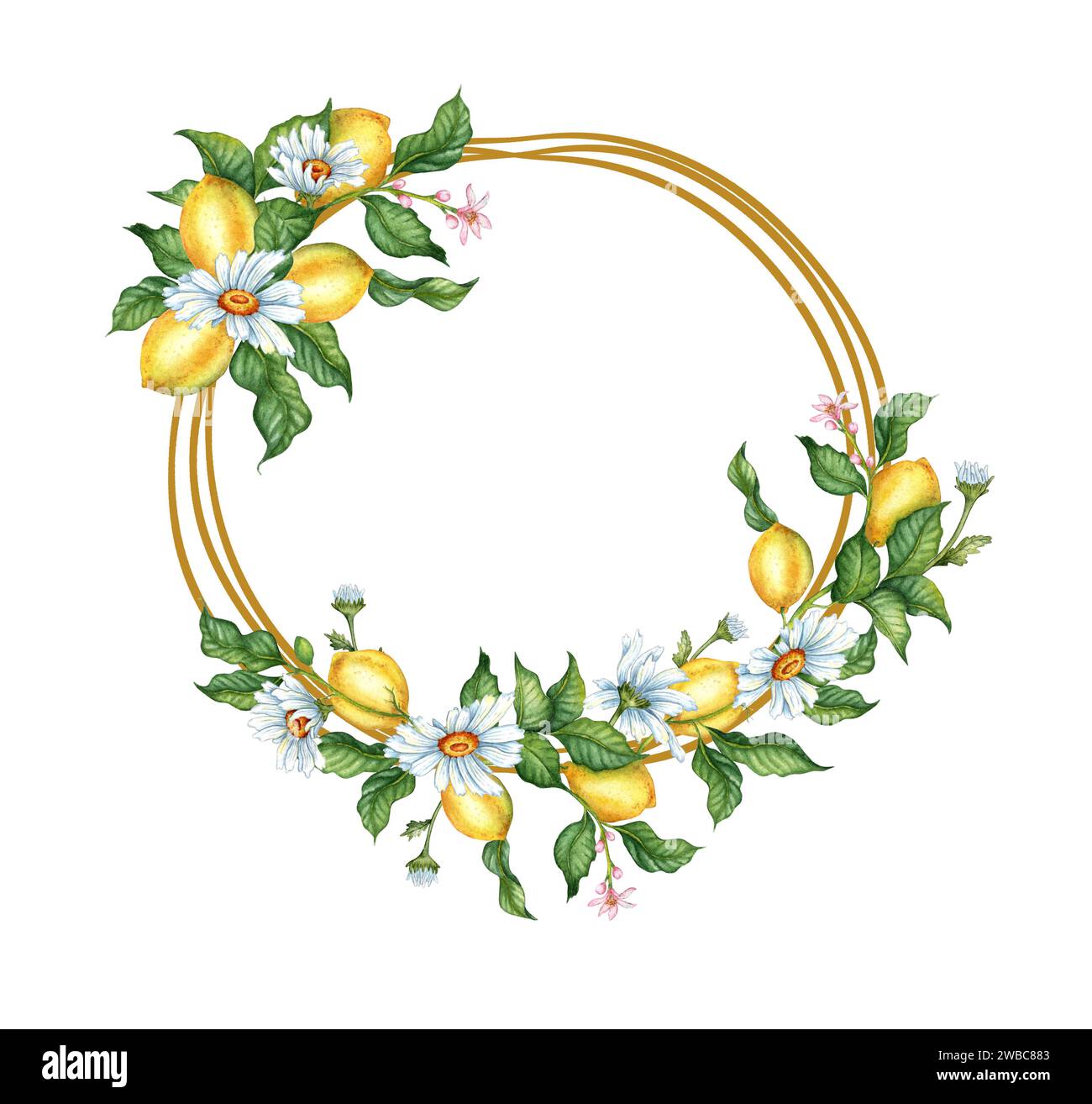 Round frame Lemons are yellow, juicy, ripe, with green leaves, flower ...