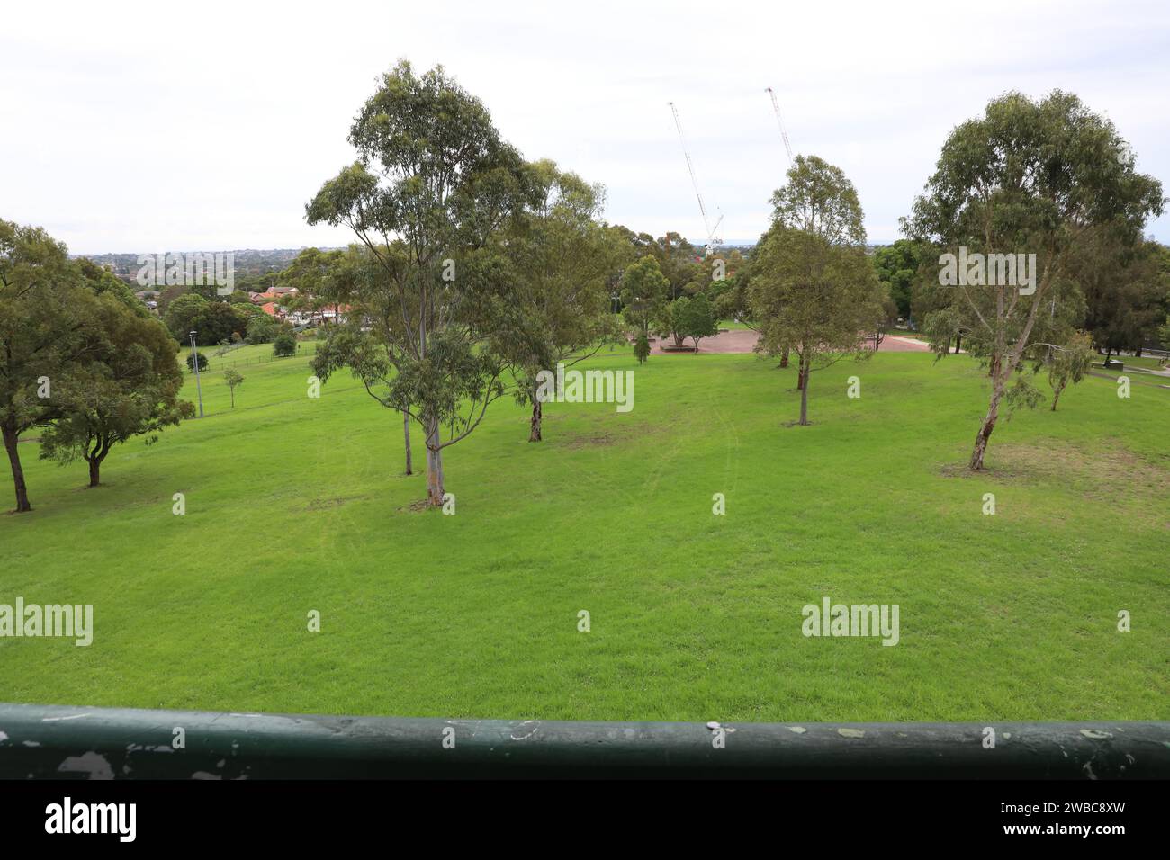 View from the lookout tower in Peace Park, Trevenar Street, Ashbury NSW ...