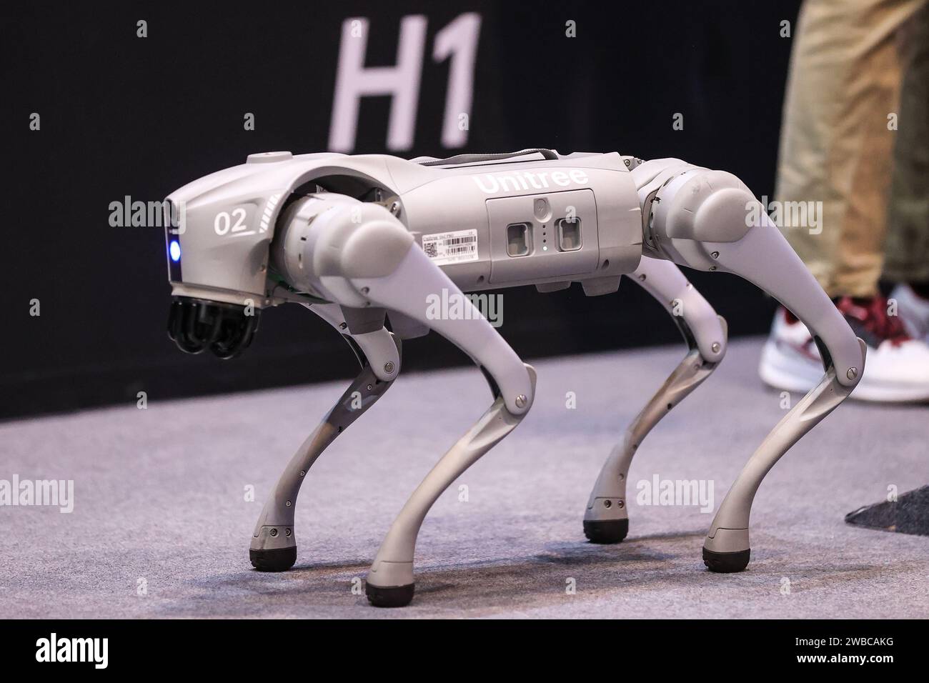 Las Vegas, NV, USA. 9th Jan, 2024. Las Vegas, NV, USA. 9th Jan, 2024. A ...