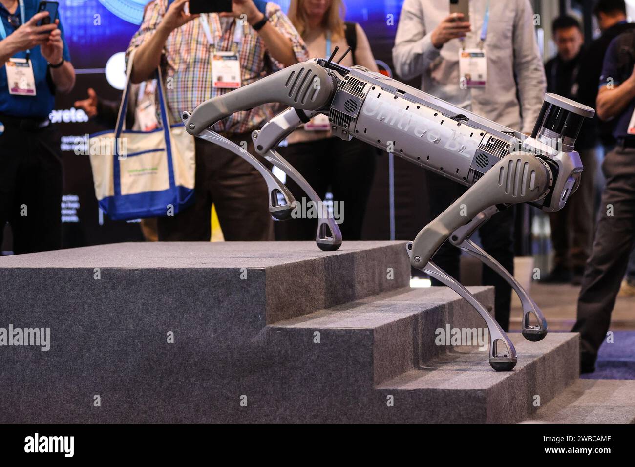 Las Vegas, NV, USA. 9th Jan, 2024. Las Vegas, NV, USA. 9th Jan, 2024. A ...