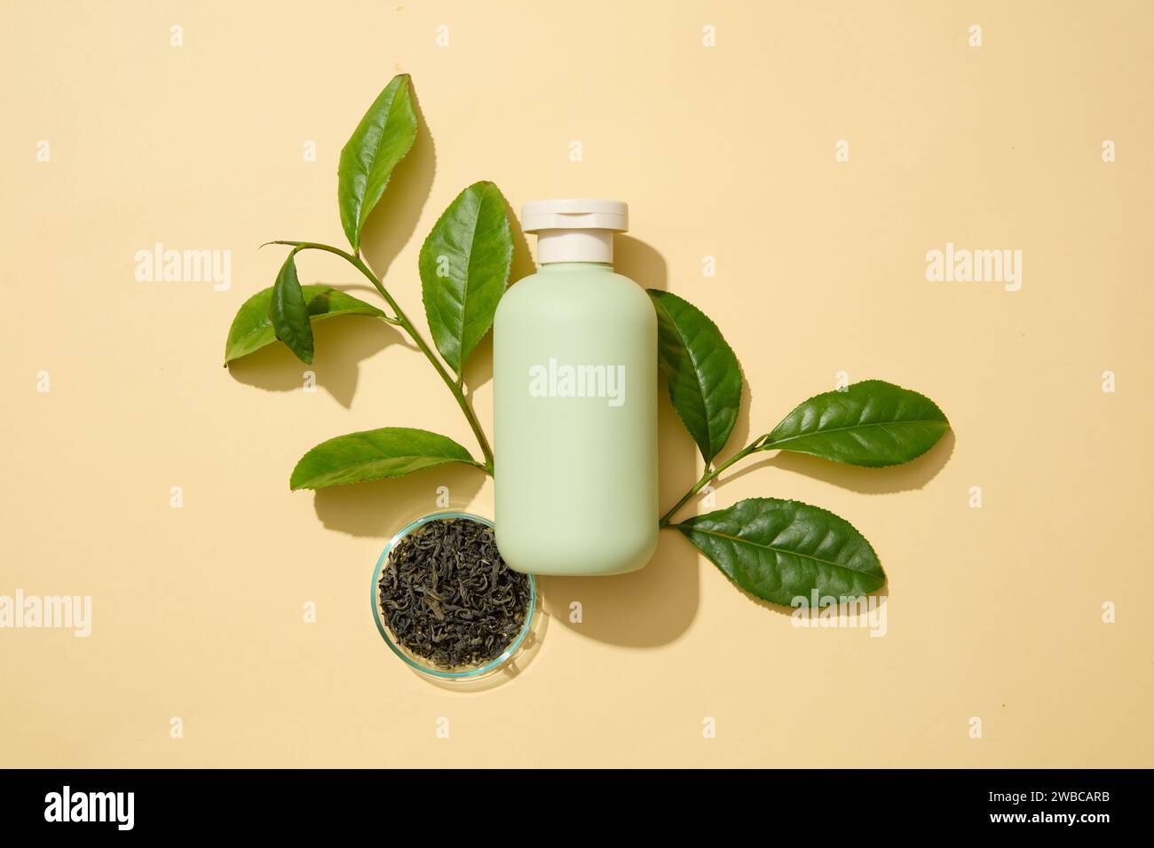 Advertising scene with a bottle mockup for cosmetic with green tea ...