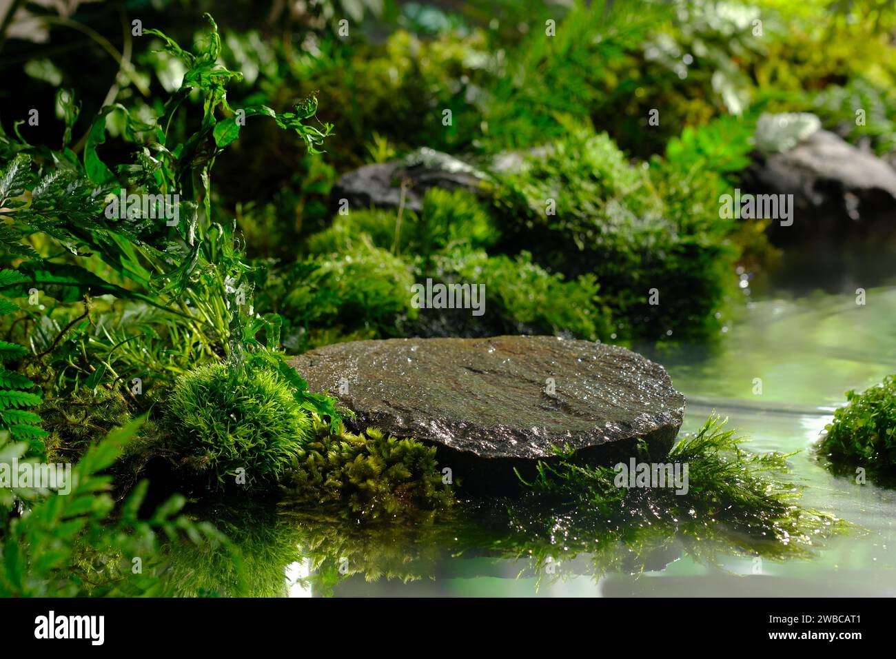 Nature scene with empty stone pedestal on water. Surrounded by green vegetation with mosses ...