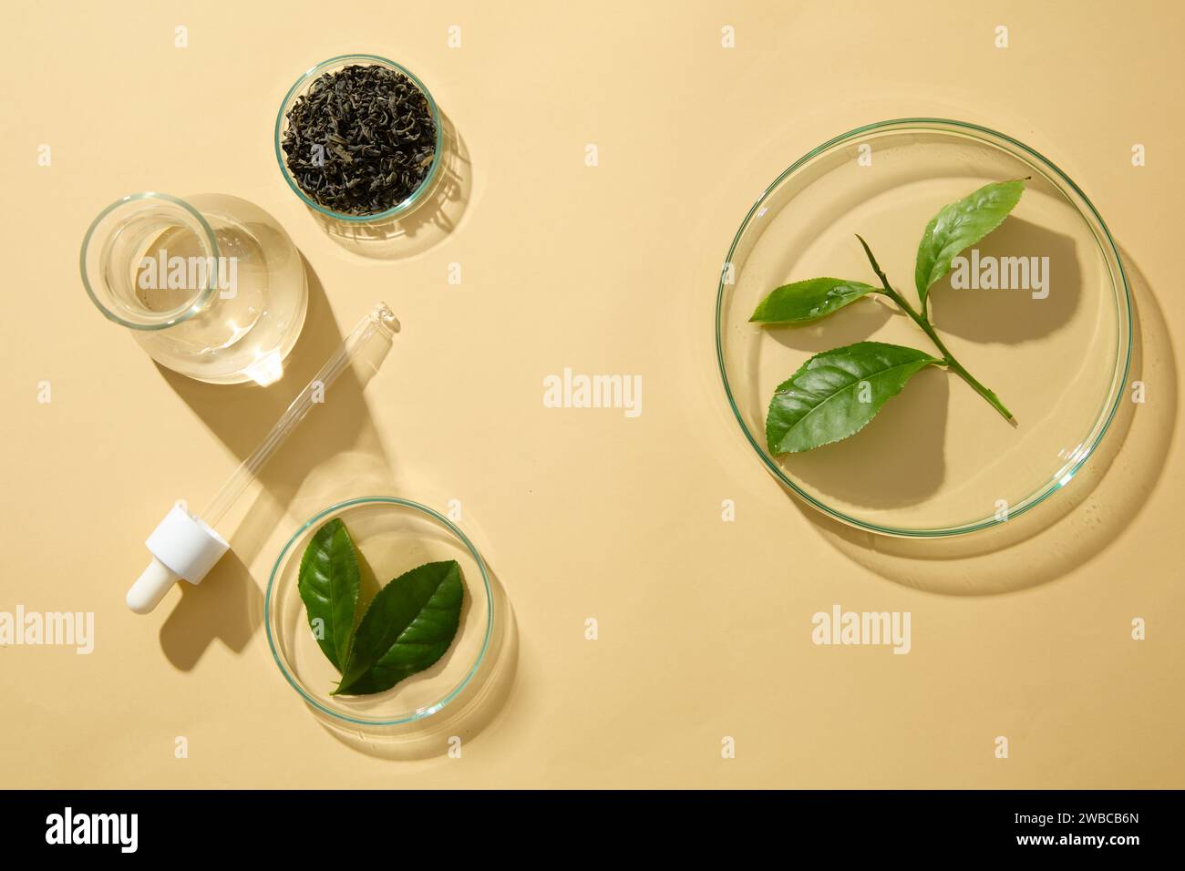 Beige background with laboratory concept for advertising cosmetic ...