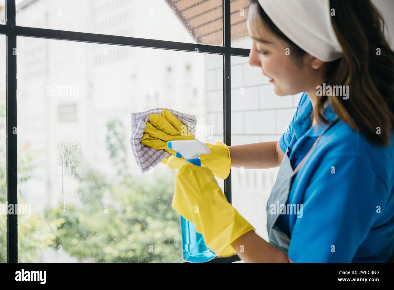 In an office setting a happy maid uses a spray to clean windows. Her ...