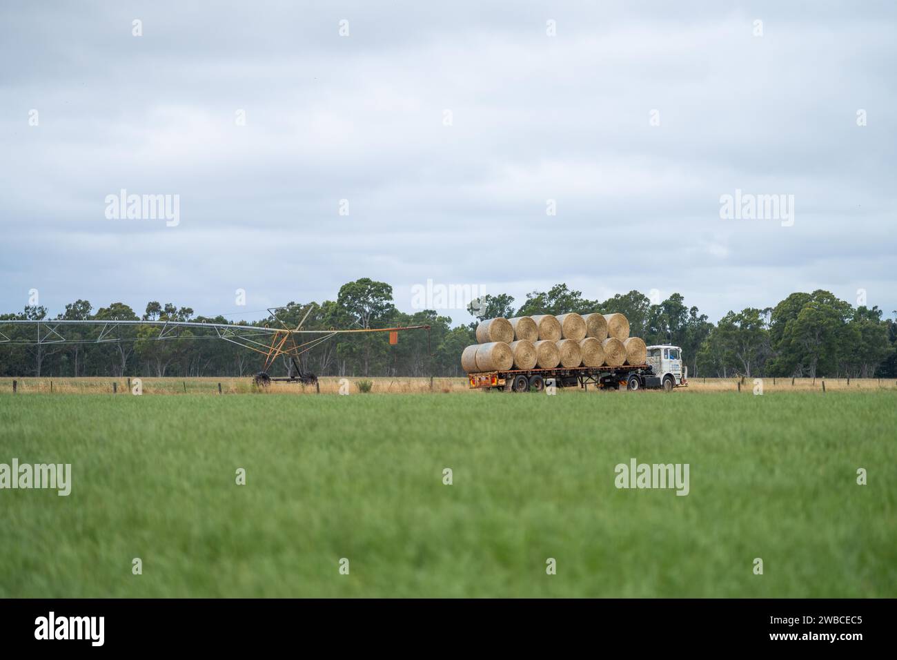 Loading hay bales on to a truck in a field in a farm in Stock Photo - Alamy