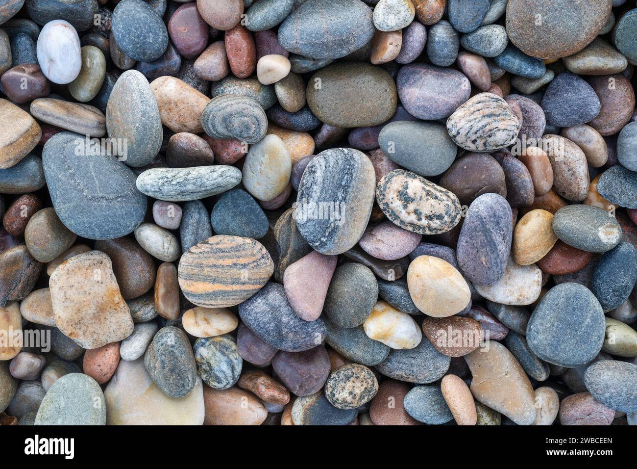 Pebbles pebble beach in hi-res stock photography and images - Alamy