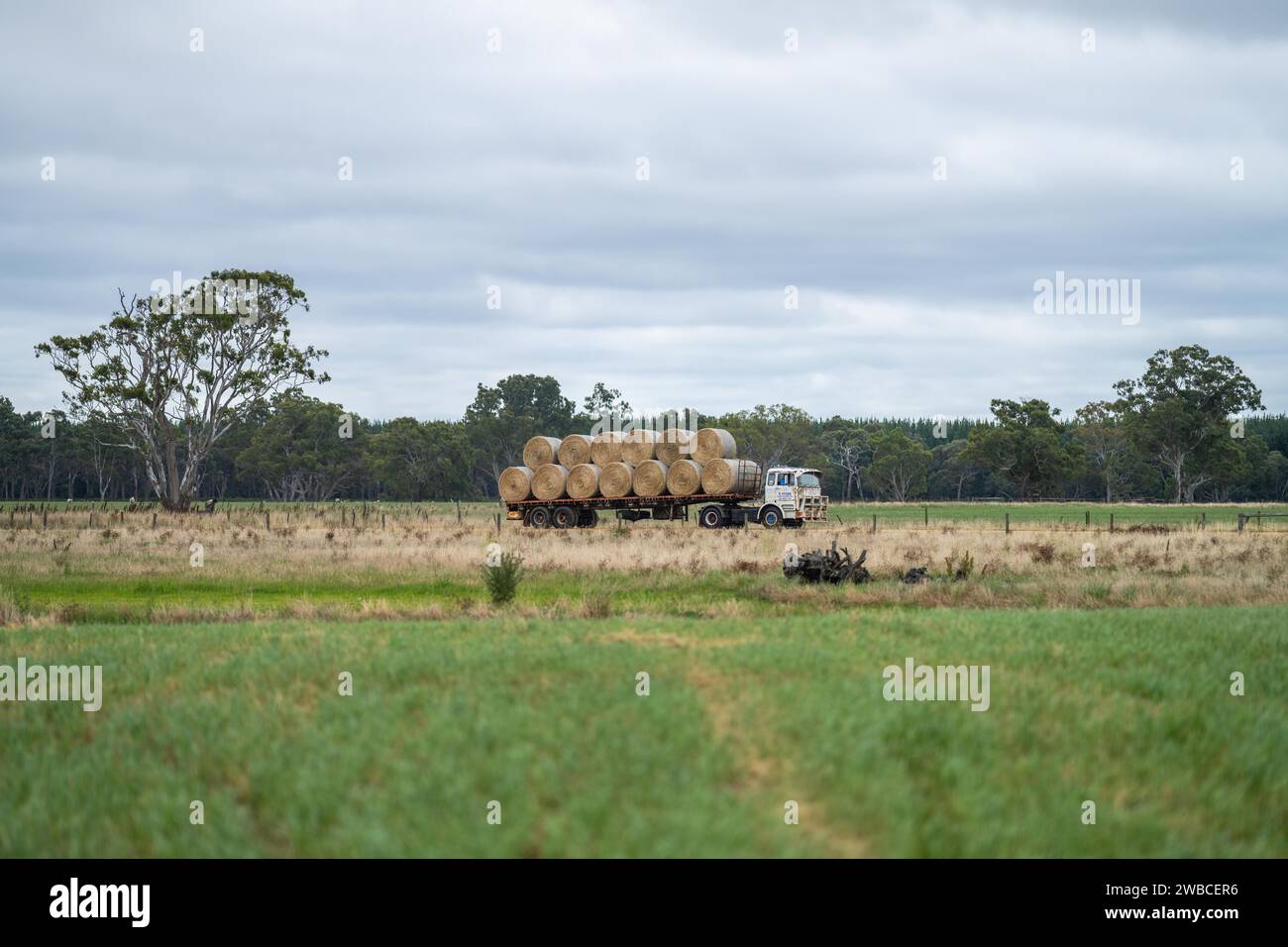 Grain carting hi-res stock photography and images - Alamy